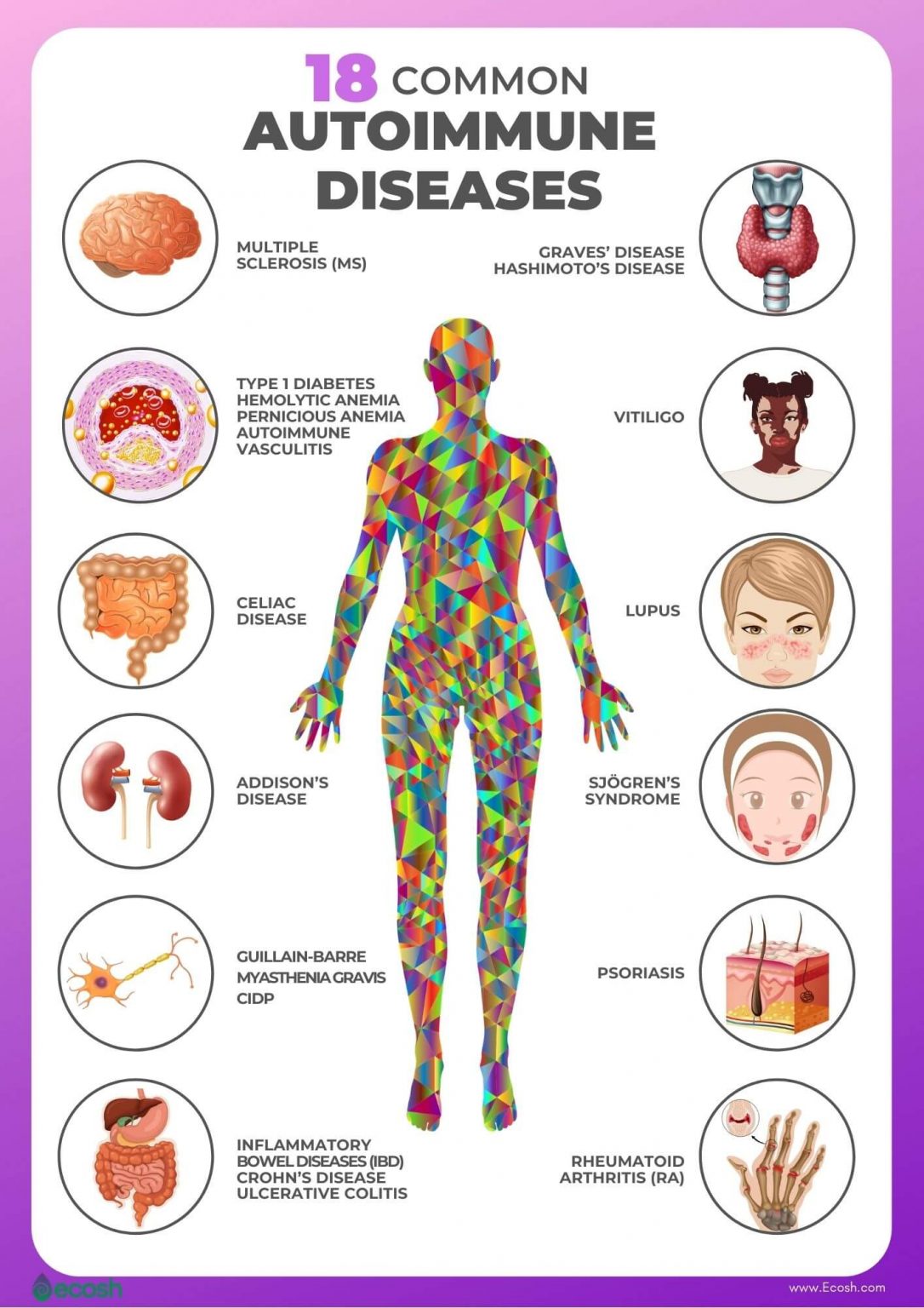 2 Types Of Autoimmune Diseases: Systemic & Organ-Specific Simple ...